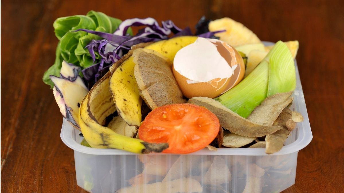 16 Things You May Not Know Are Compostable » Go Green Magazine - help ...